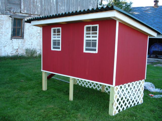 The Coop 25 | BackYard Chickens - Learn How to Raise Chickens