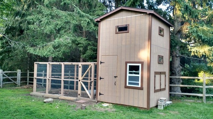 The Fort Coop | BackYard Chickens - Learn How to Raise Chickens