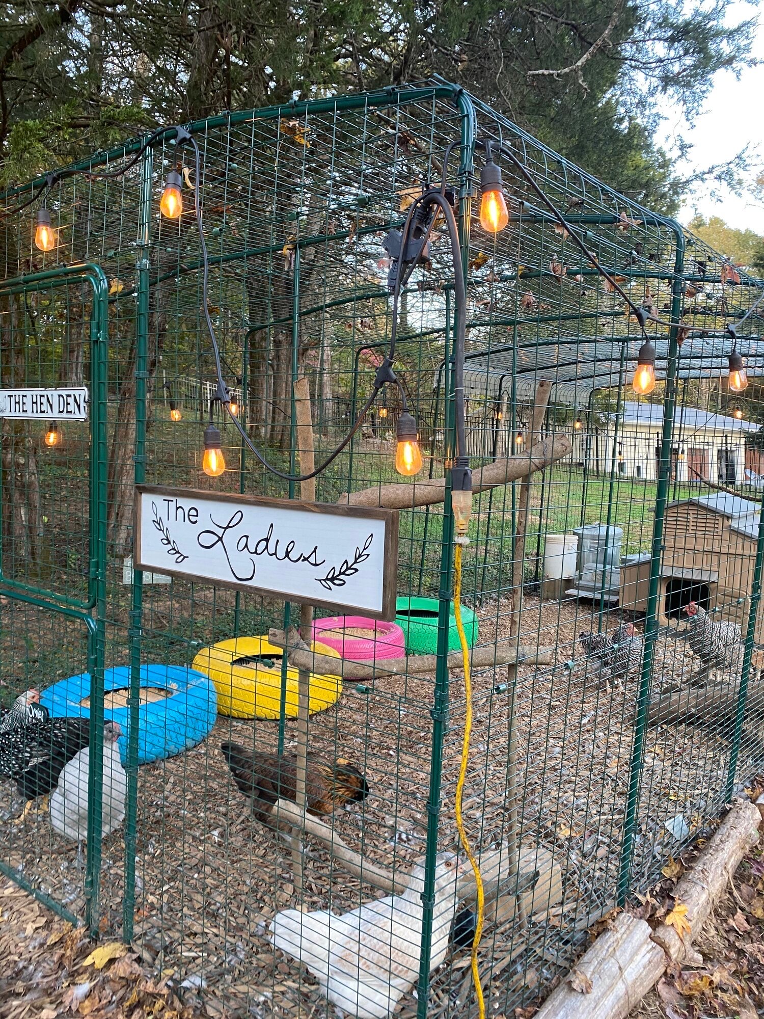 The Hen Den | BackYard Chickens - Learn How to Raise Chickens