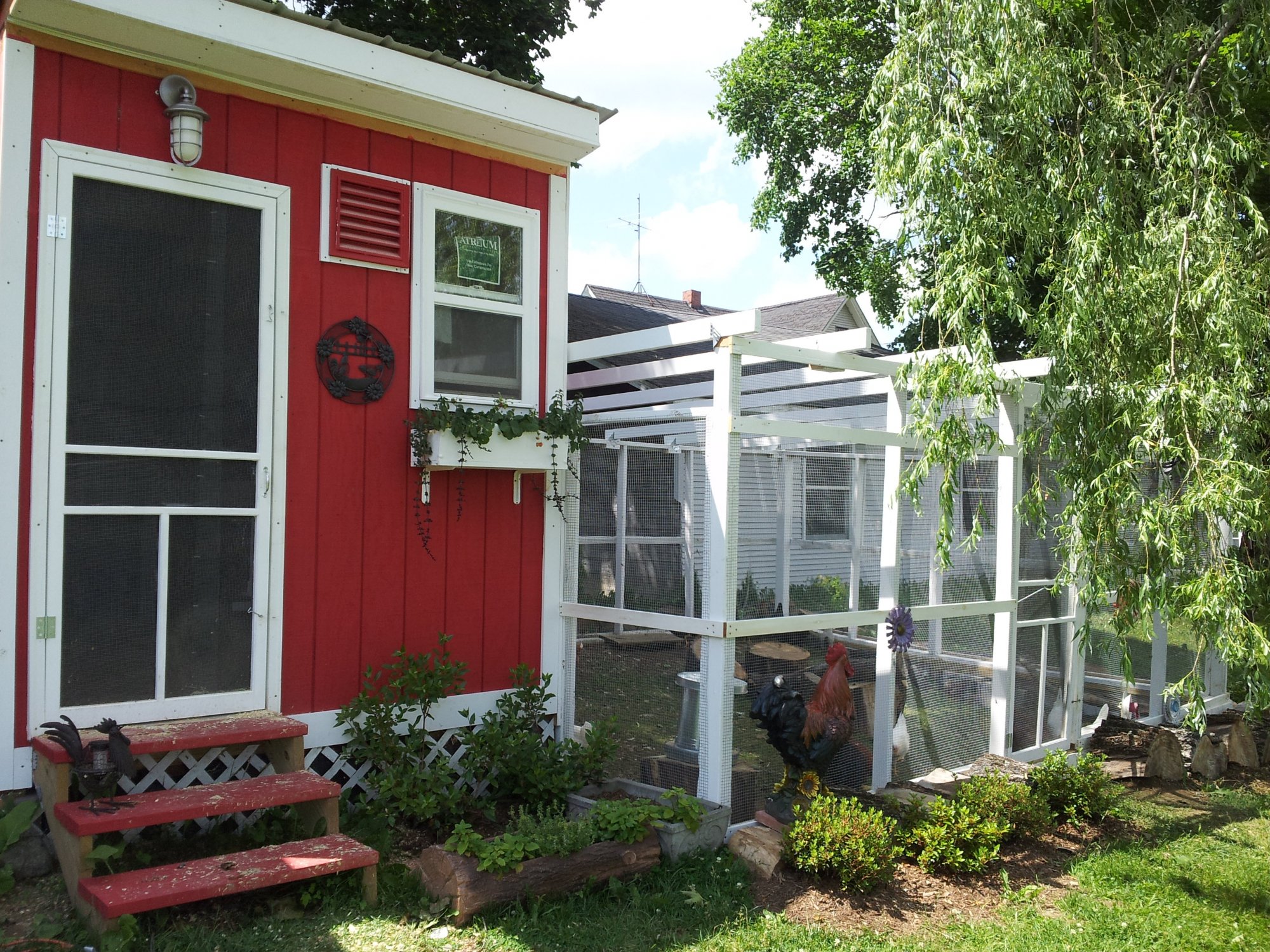 The Hens Den | BackYard Chickens - Learn How to Raise Chickens