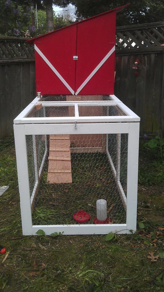 The Little Red Barn | BackYard Chickens - Learn How to Raise Chickens