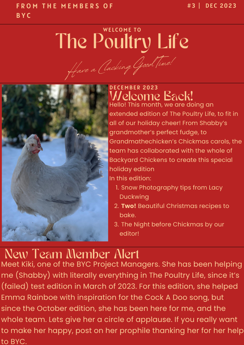 The Poultry Life December! | BackYard Chickens - Learn How to Raise ...