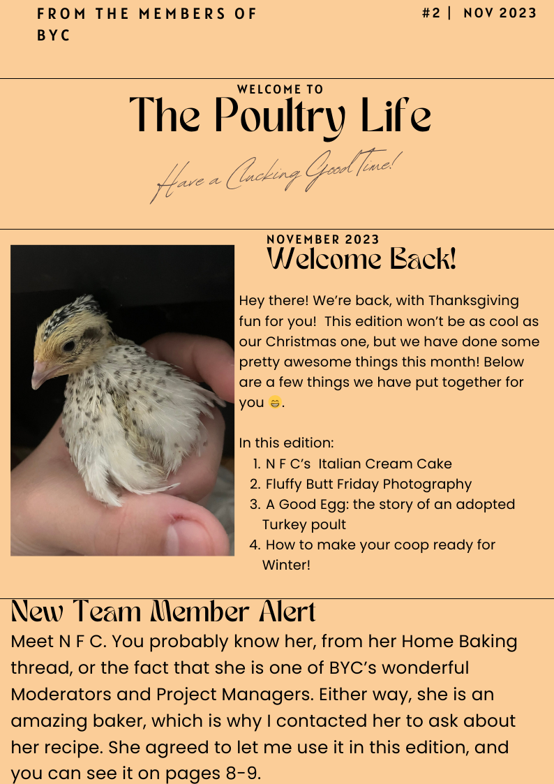The Poultry Life November | BackYard Chickens - Learn How to Raise Chickens