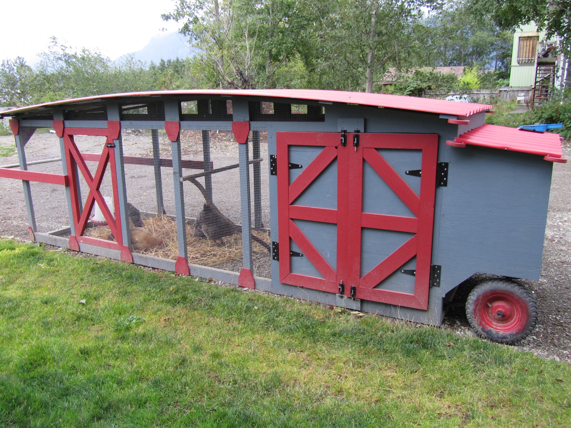 Tuff City Chicks | BackYard Chickens - Learn How to Raise Chickens