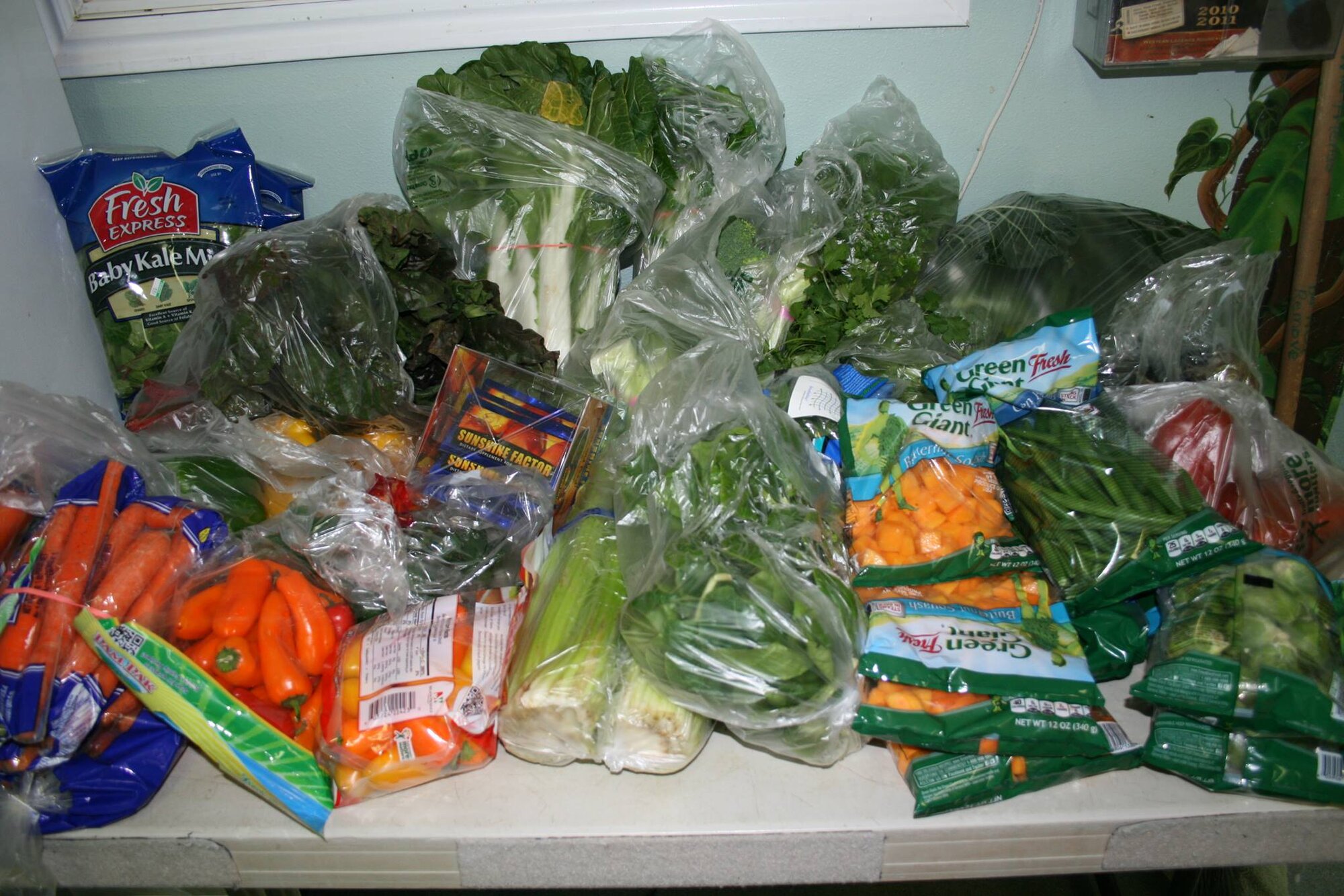 Utilizing the Parrot Chop Principle to Improve Chicken Diets | BackYard ...