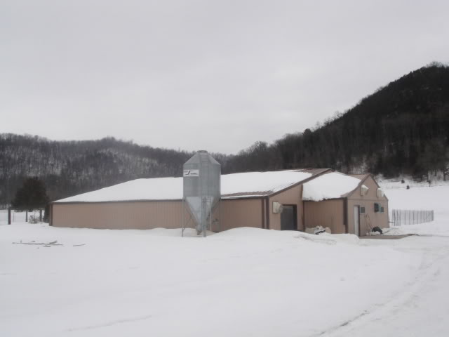 Wisconsin Layer Barn | BackYard Chickens - Learn How to Raise Chickens