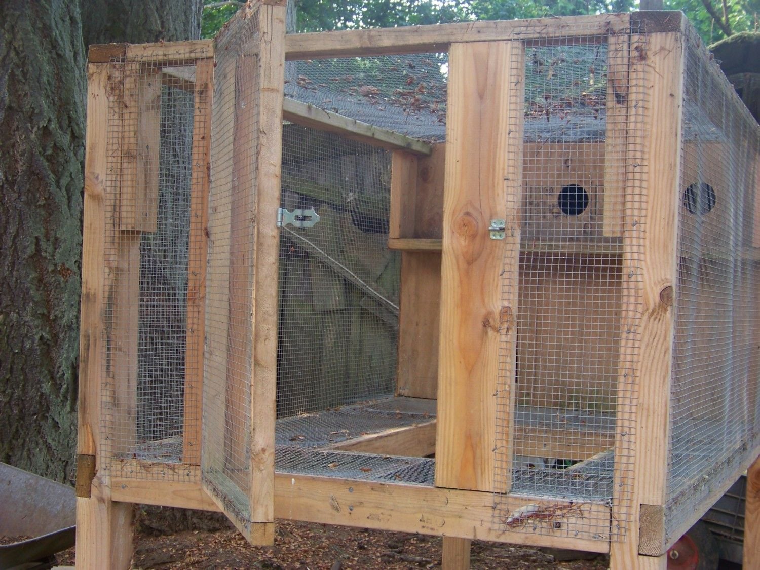 Mandarin/Wood Duck Aviary Requirements