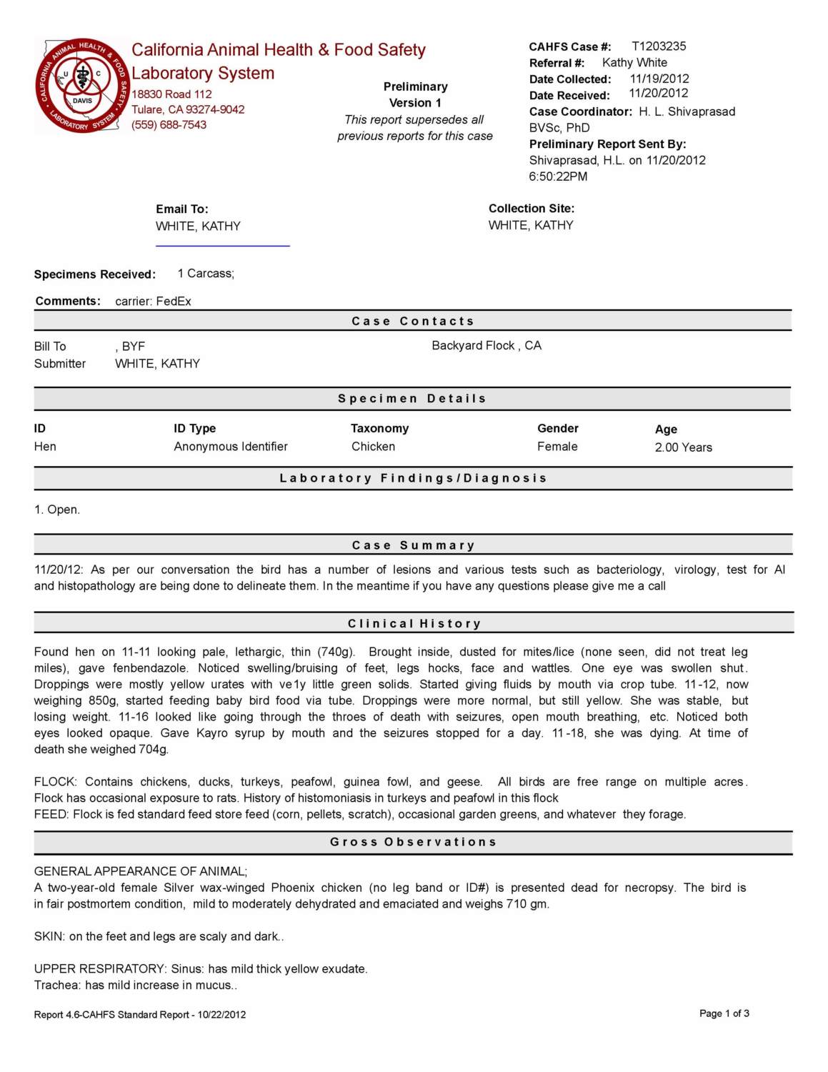 Sample of a Necropsy Repert.