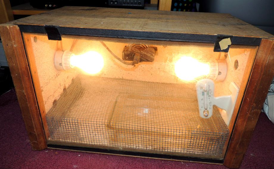 I got a cool antique incubator! (pics) ~ | BackYard Chickens - Learn ...