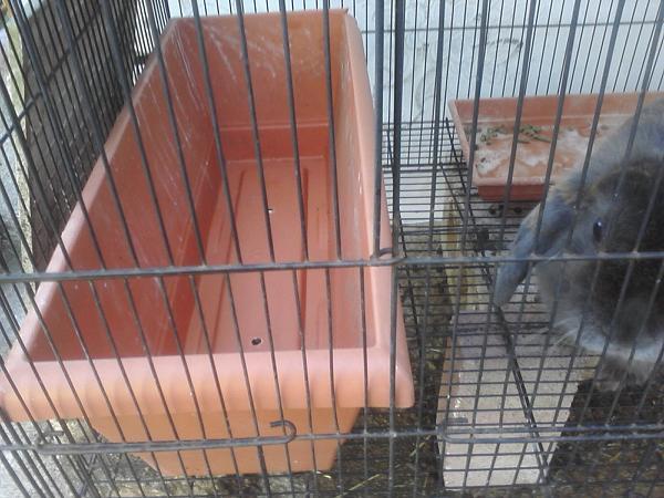 Ideas for easy Homemade Nesting Boxes for Rabbits