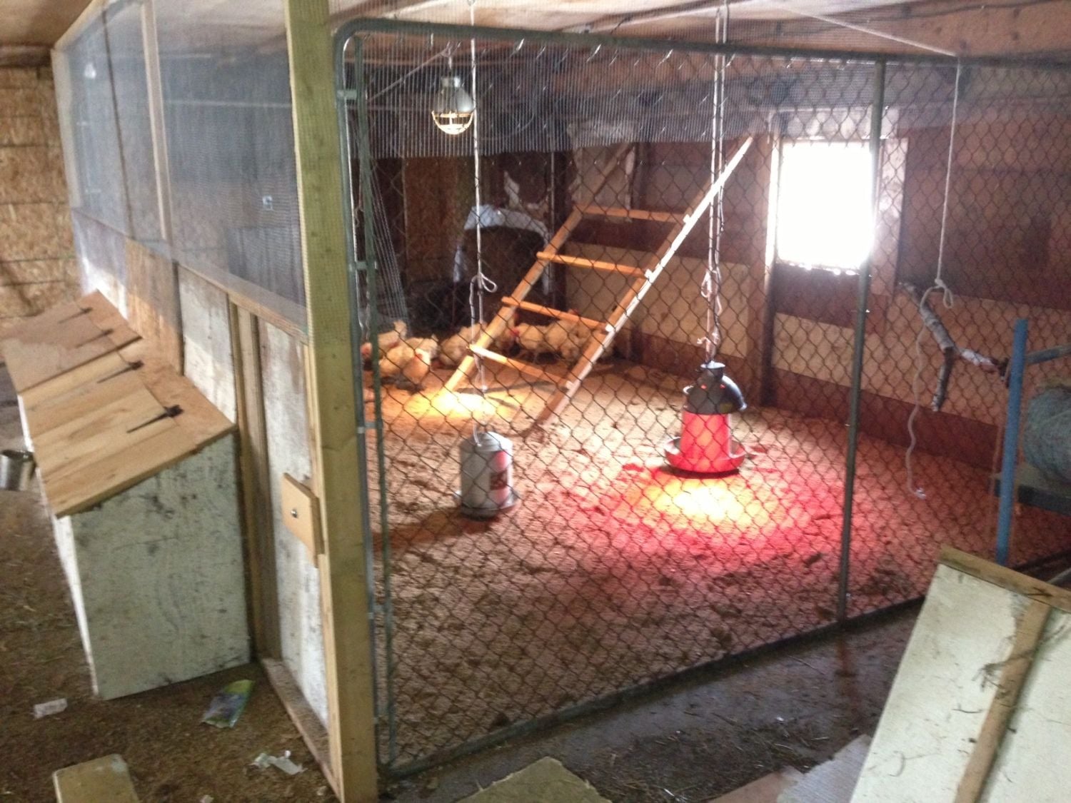 Inside Chicken Coop