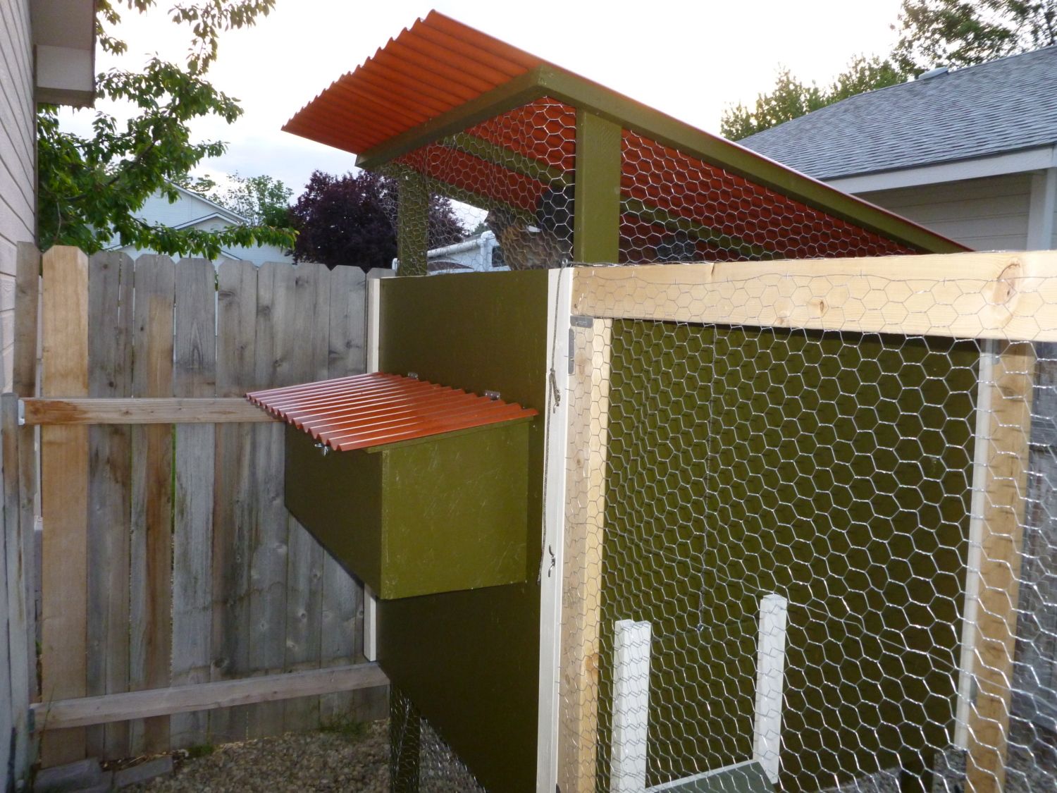 The Hot Headed Hen House | BackYard Chickens - Learn How to Raise Chickens