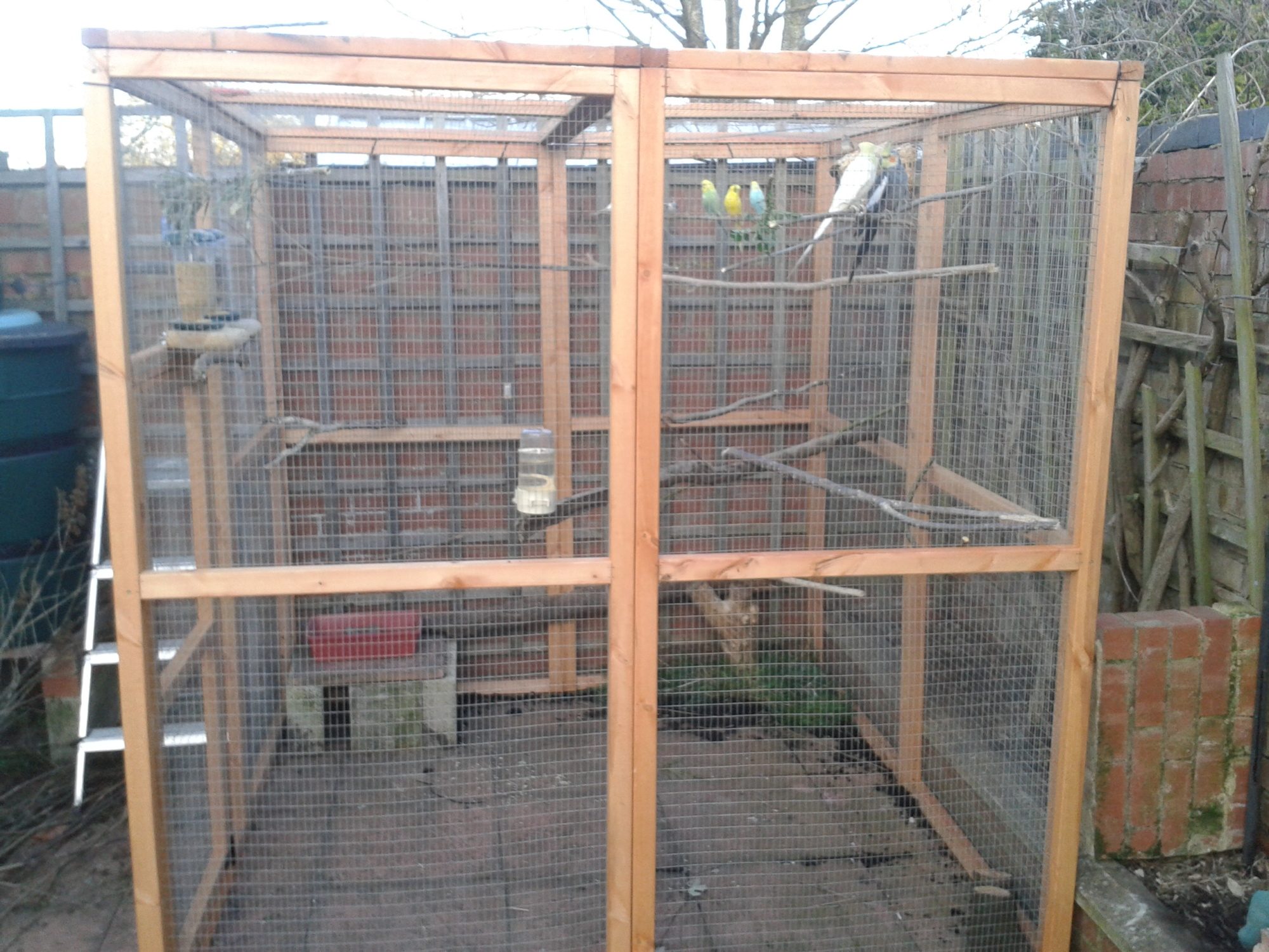 New aviary | BackYard Chickens - Learn How to Raise Chickens