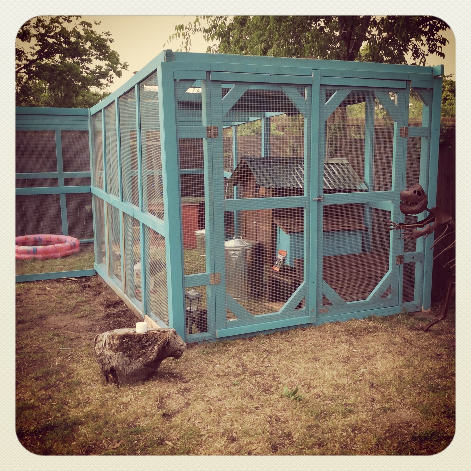 The Millennium Fowlcon | BackYard Chickens - Learn How to Raise Chickens