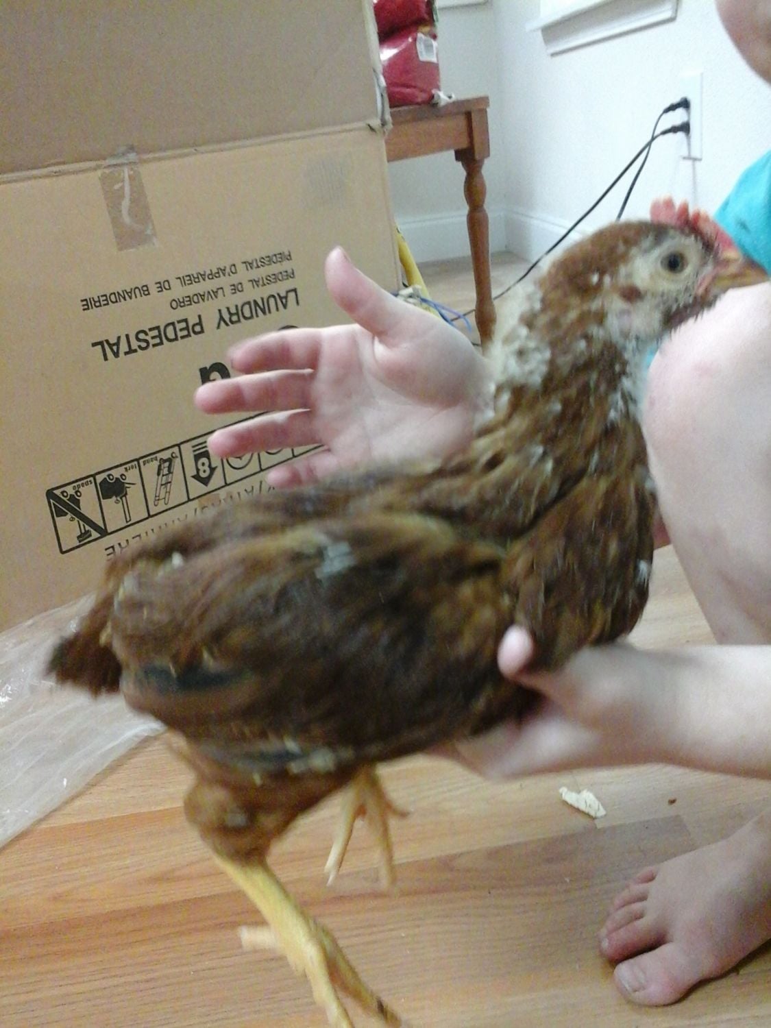 Production Red Rooster