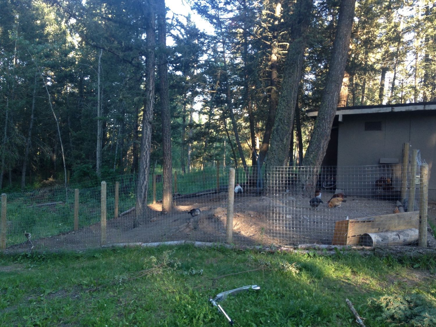Insulated coop/barn/chicken run/shady chicken porch | BackYard Chickens ...