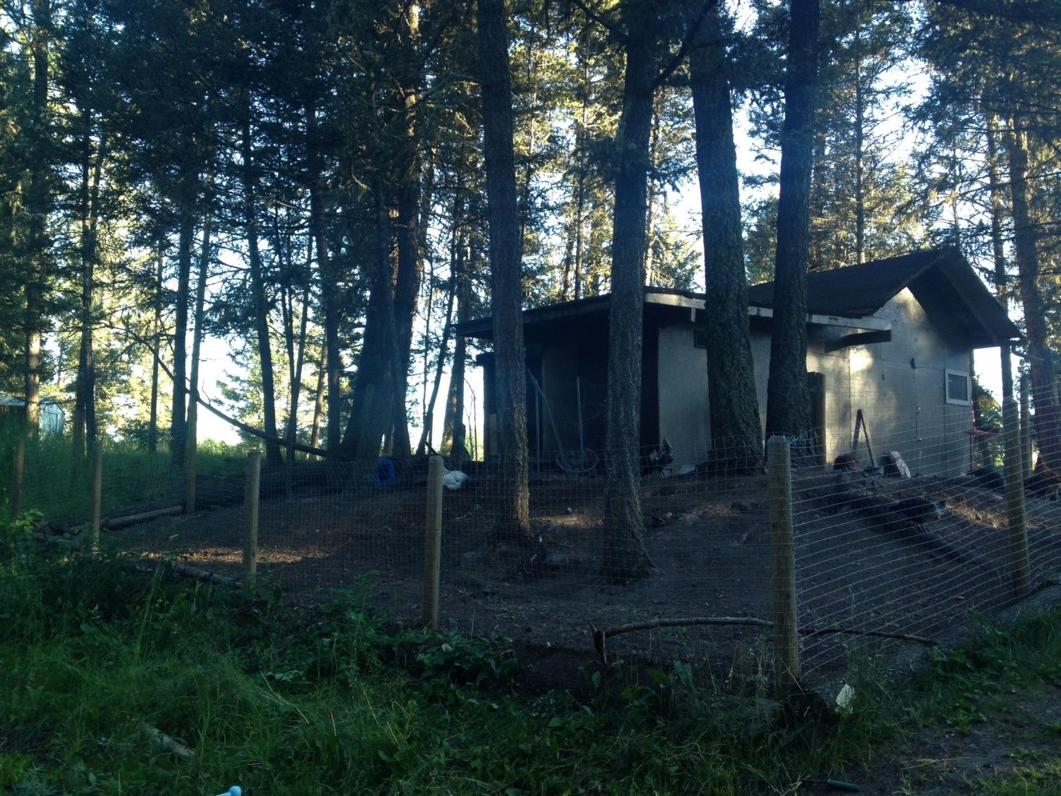 Insulated coop/barn/chicken run/shady chicken porch | BackYard Chickens ...