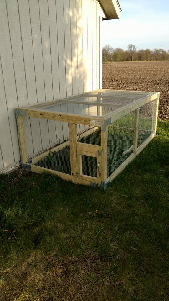 Our new corner coop | BackYard Chickens - Learn How to Raise Chickens