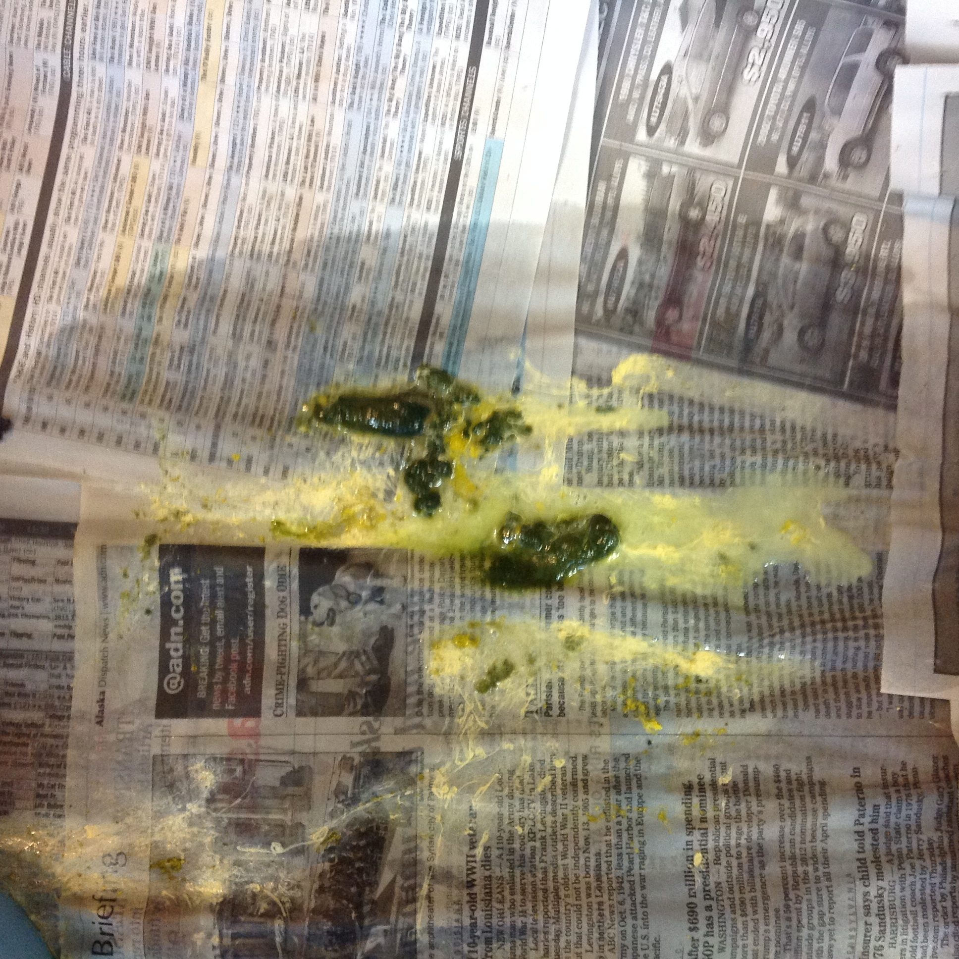 sick chicken- Poo picture | BackYard Chickens - Learn How to Raise Chickens