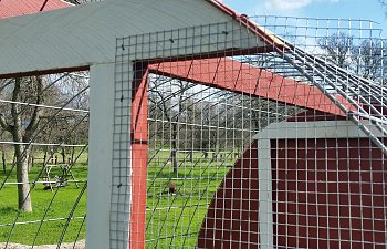 Ms Biddy's Cattle Panel Hoop Coop - Gallery | BackYard Chickens