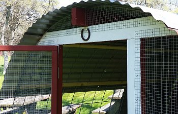 Ms Biddy's Cattle Panel Hoop Coop - Gallery | BackYard Chickens