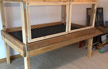 Large Chicken Brooder | BackYard Chickens
