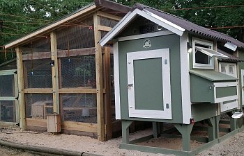 The Chicken Coop/Run Project Completed. Mom calls it the Chicken Condo ...