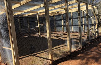 The Chicken Shed of my dreams :) | BackYard Chickens