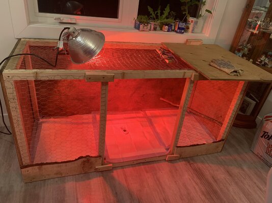 1 inch chicken wire okay for brooder? | BackYard Chickens - Learn How ...