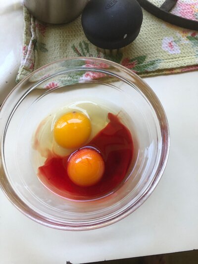 Bloody eggs | BackYard Chickens - Learn How to Raise Chickens