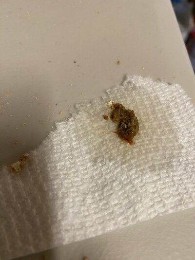 Attachments in thread "Baby chicks intestinal shed, coccidiosis, sour ...