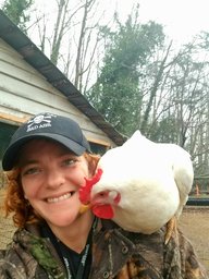 Chicken Kate | BackYard Chickens - Learn How to Raise Chickens