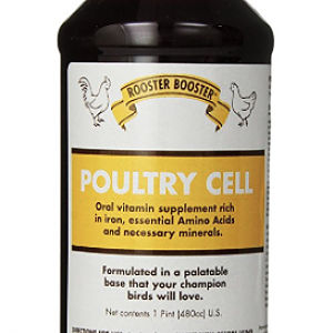 Rooster Booster - Poultry Cell 16 oz. | BackYard Chickens