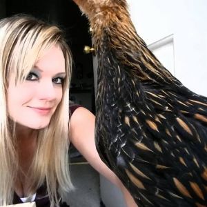 BackYard Chickens - Learn How to Raise Chickens
