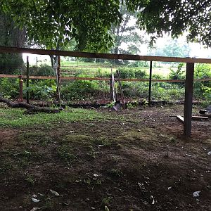 Construction of Run | BackYard Chickens - Learn How to Raise Chickens