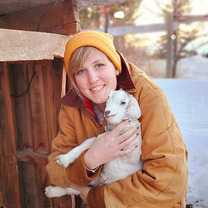 Amazing Easter Animal Photo Contest 9.jpg | BackYard Chickens - Learn ...