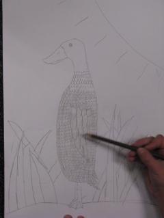 Indian Runners Go to School (pics) | BackYard Chickens - Learn How to ...