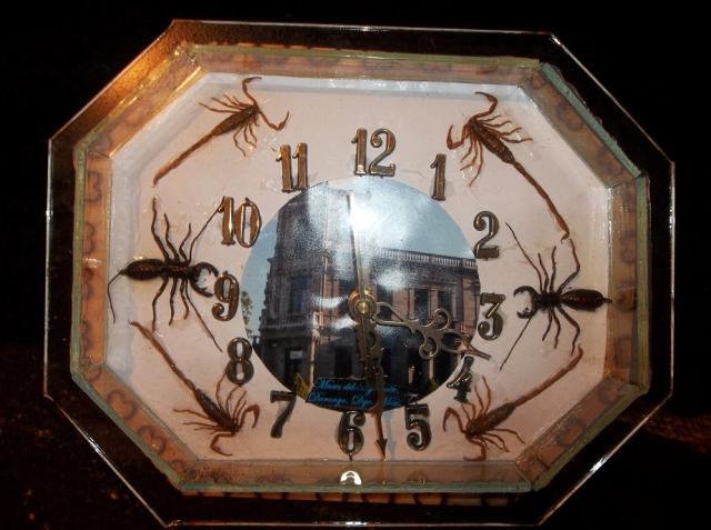 Handmade Glass/Wood Scorpion Bug Clock | BackYard Chickens - Learn How ...