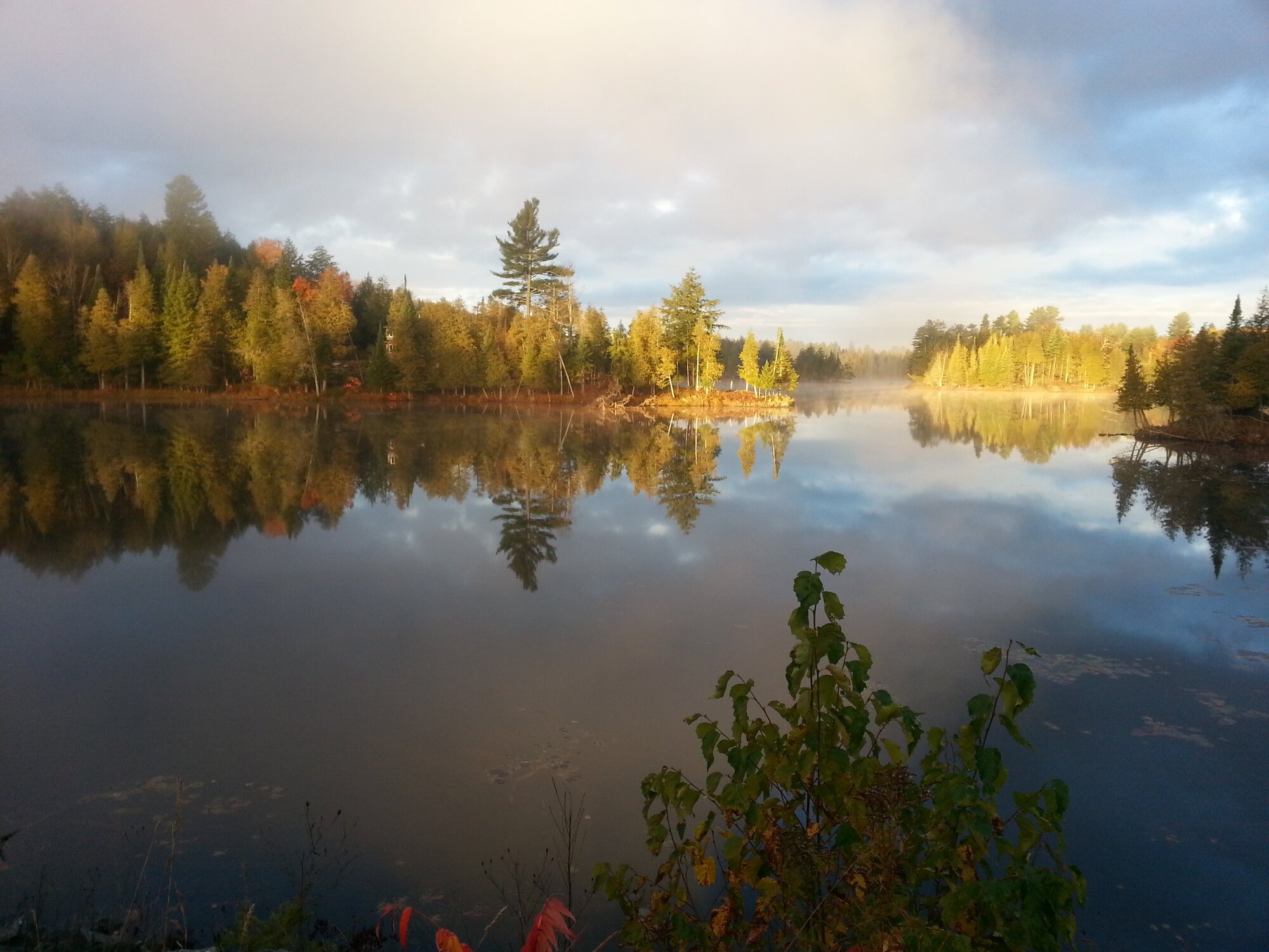 101 Jpg Backyard Chickens Learn How To Raise Chickens