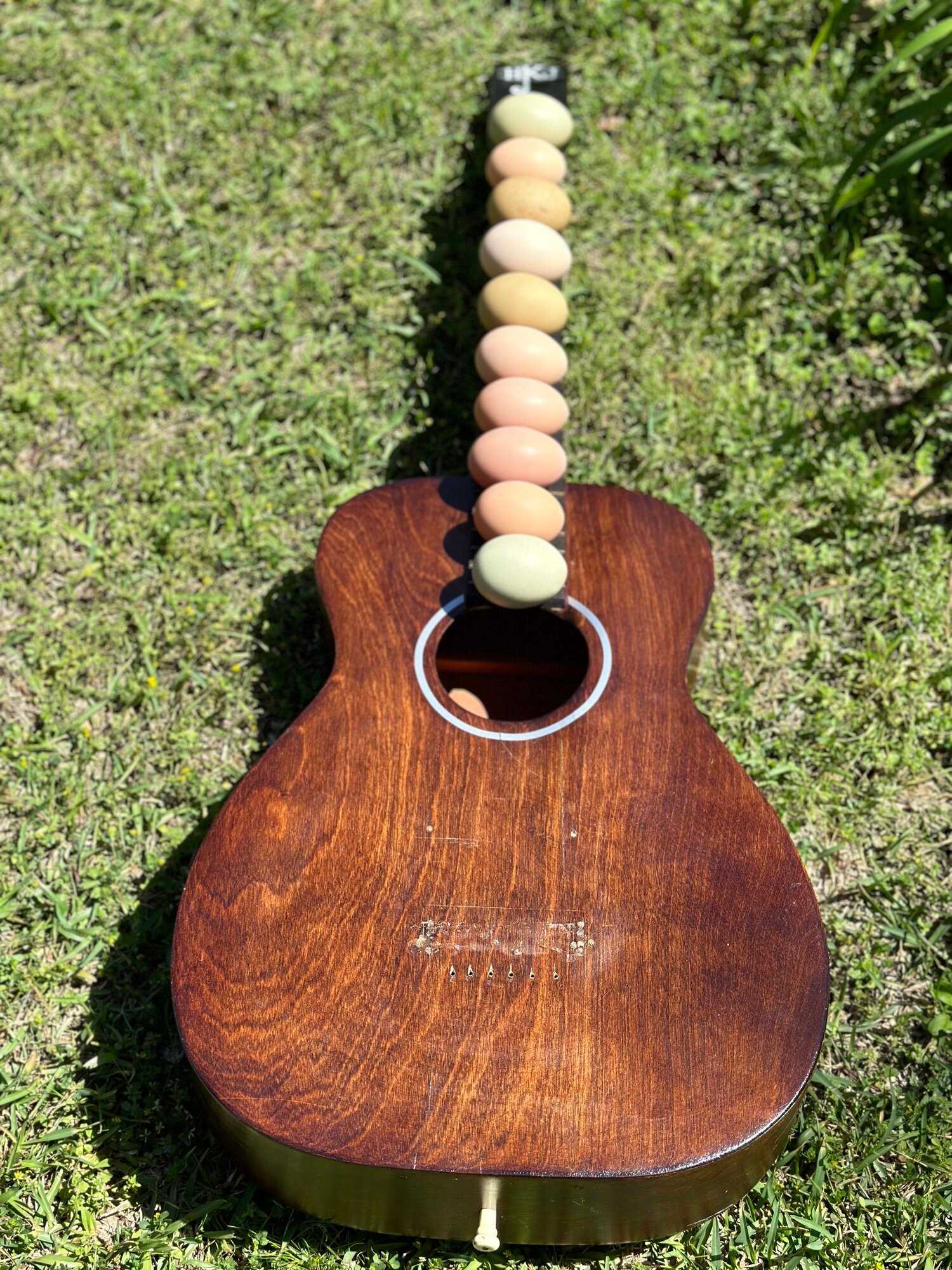 187.jpg | BackYard Chickens - Learn How to Raise Chickens