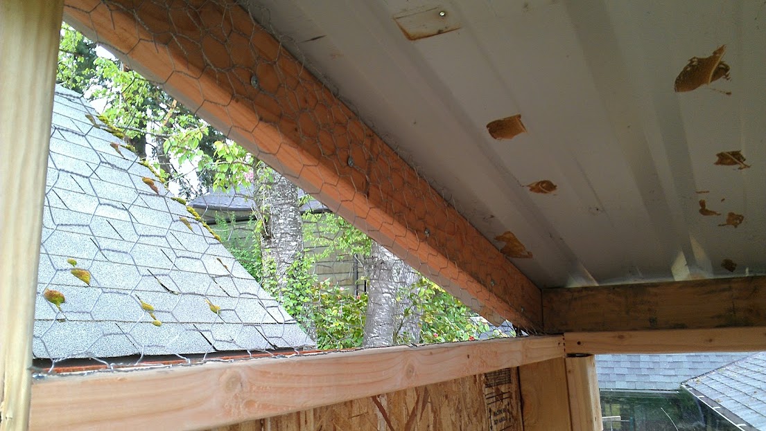 BackYard Chickens - Learn How to Raise Chickens