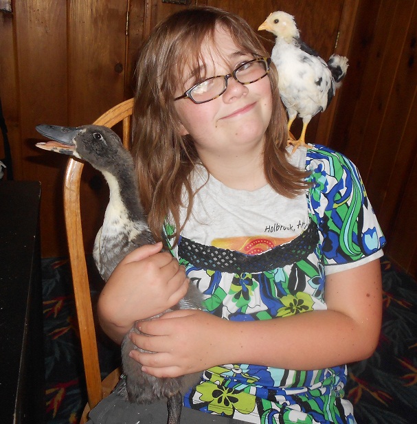 BackYard Chickens - Learn How to Raise Chickens