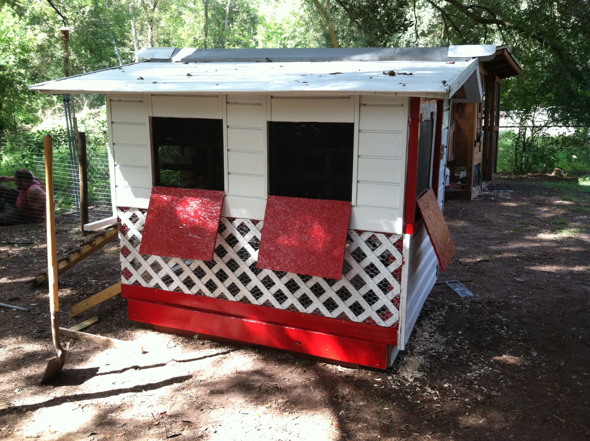 BackYard Chickens - Learn How to Raise Chickens