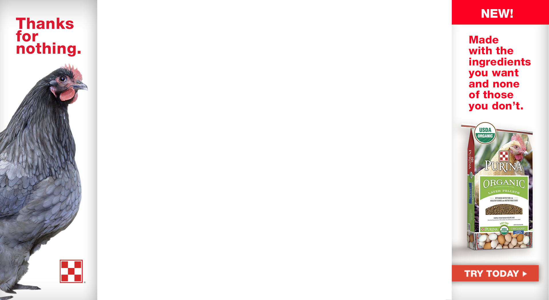 BackYard Chickens - Learn How to Raise Chickens