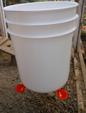 Bucket Heated Waterer | BackYard Chickens - Learn How to Raise Chickens