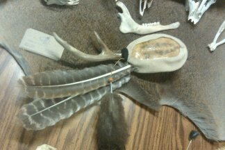 Ceremonial rattle | BackYard Chickens - Learn How to Raise Chickens