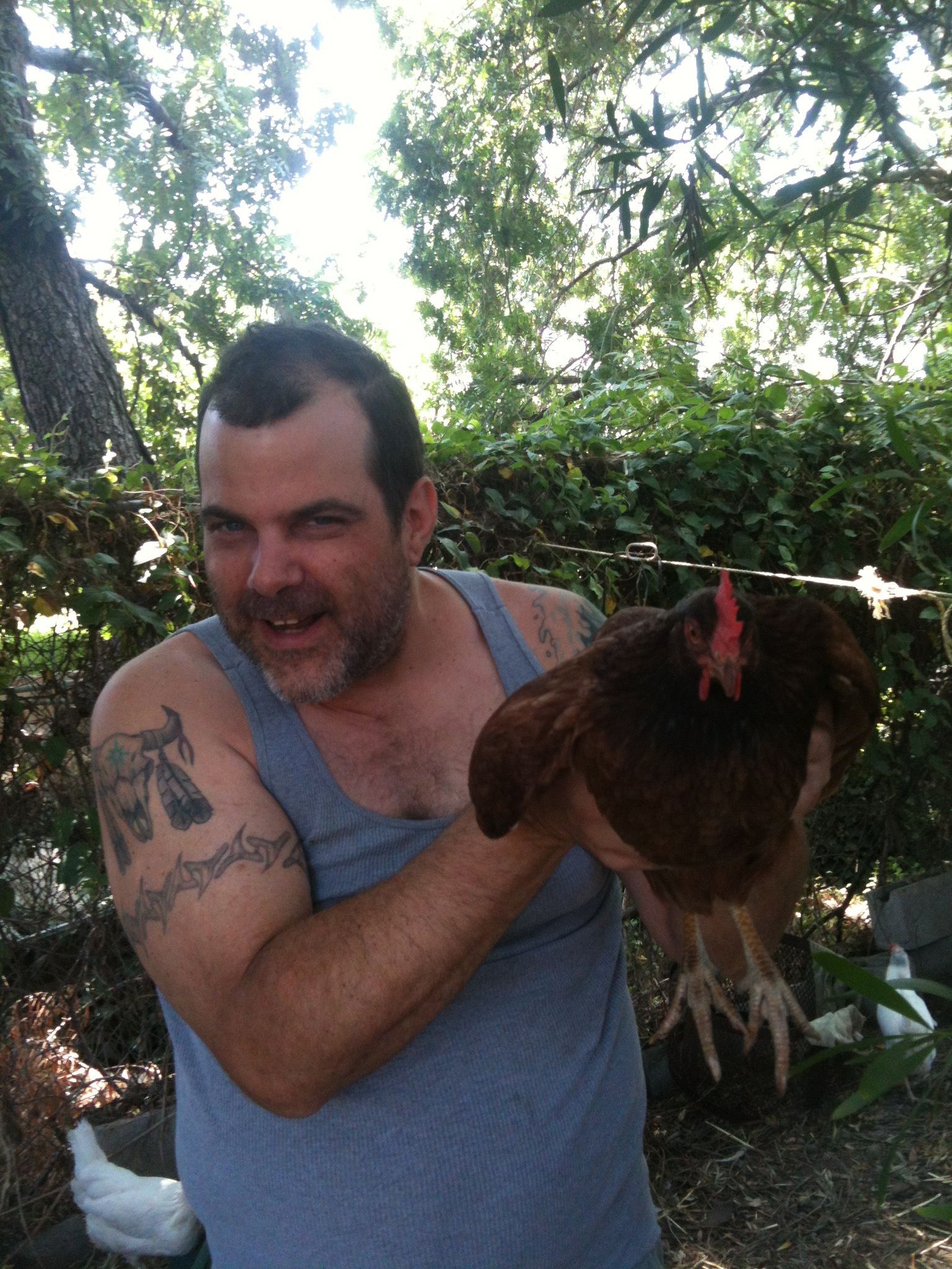 Chicken fun | BackYard Chickens - Learn How to Raise Chickens