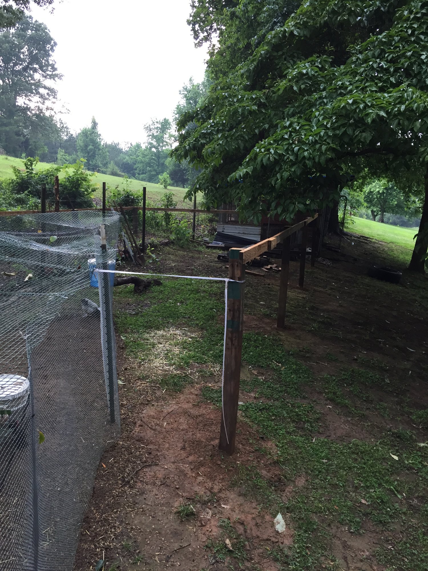 Chicken Run Posts Going Up | BackYard Chickens - Learn How to Raise ...