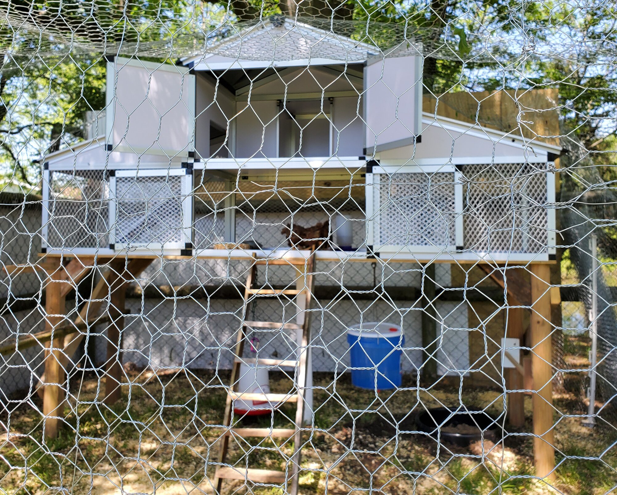Coop Set Up Backyard Chickens Learn How To Raise Chickens