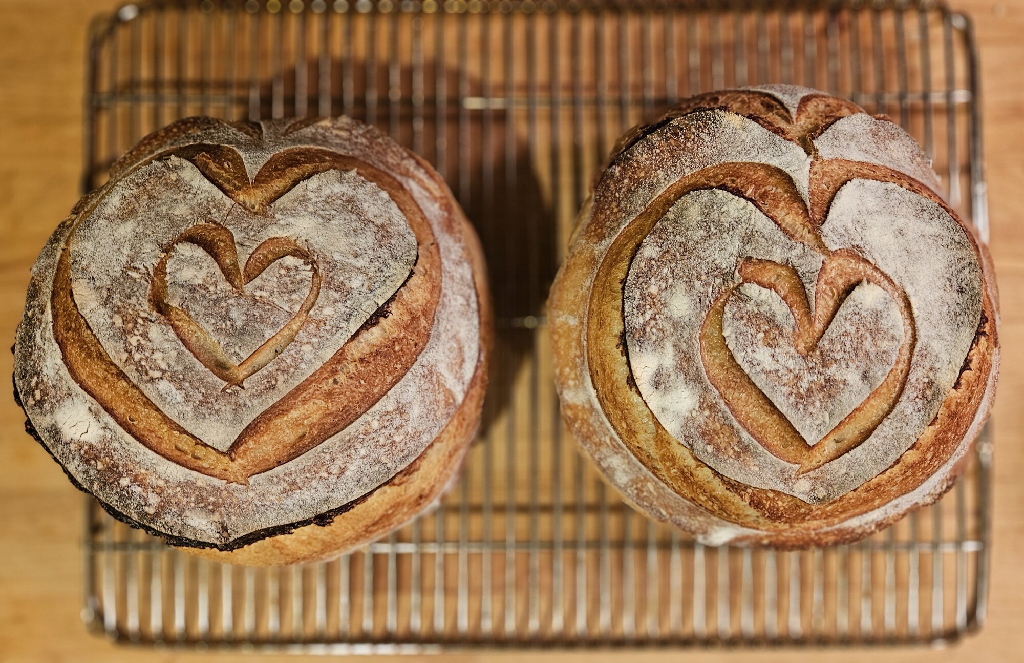 cupid_kitchen_2025_12a.jpg | BackYard Chickens - Learn How to Raise ...